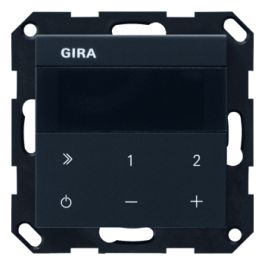 Gira Systeem 55 - Radio 2320005 | Elektrototaalmarkt.nl