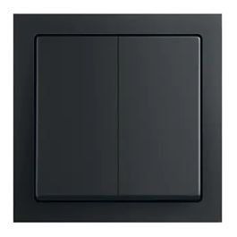 ABB Busch-Jaeger Friends of Hue - Lichtschakelaar 6716 UJ-885 Zwart mat ...