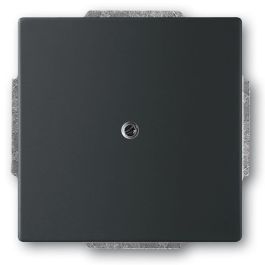 ABB Busch-Jaeger Future Linear - Blindplaat 1742-885 Zwart mat ...