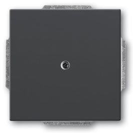 ABB Busch-Jaeger Future Linear - Blindplaat 1742-81 Antraciet ...